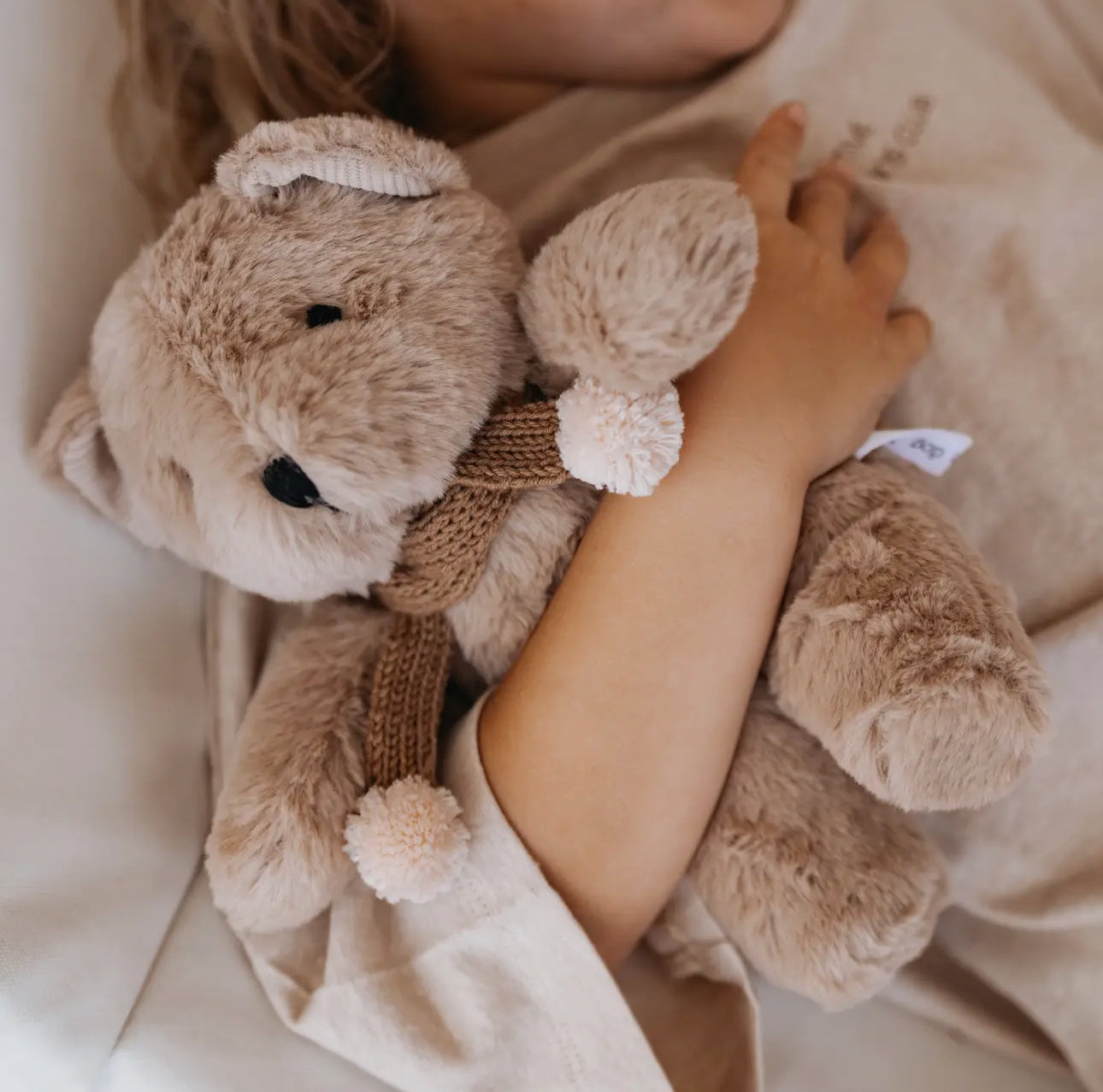Plush Toys – LullaBoo